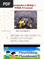 Goldfish Respiration Lab | PDF | Temperature | Breathing