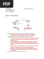 Mitosis Virtual Lab Answer Sheet Part2 | PDF | Mitosis | Cell Cycle