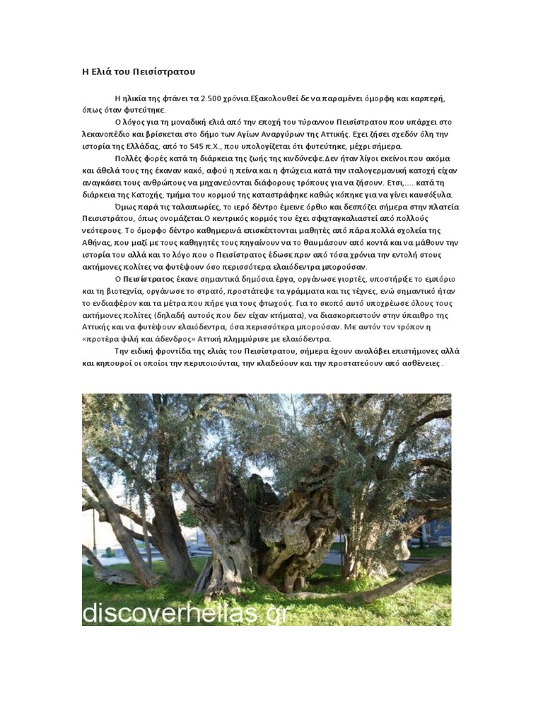 Η ΕΛΙΑ ΤΟΥ ΠΕΙΣΙΣΤΡΑΤΟΥ | PDF