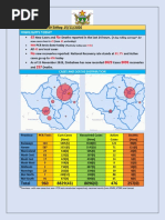 Chishona: Nzwisiso: Nhetembo | PDF