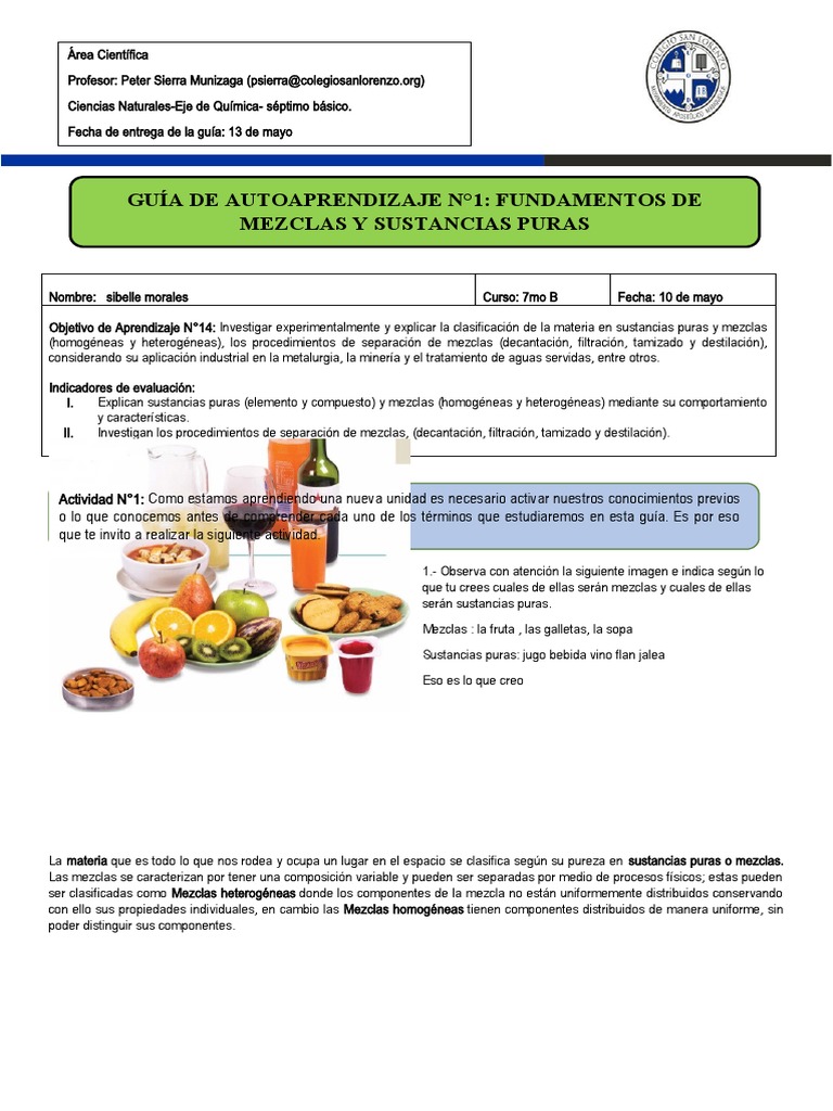 Guia De Sustancias Puras Y Mezclas Pdf Mezcla Compuestos Químicos