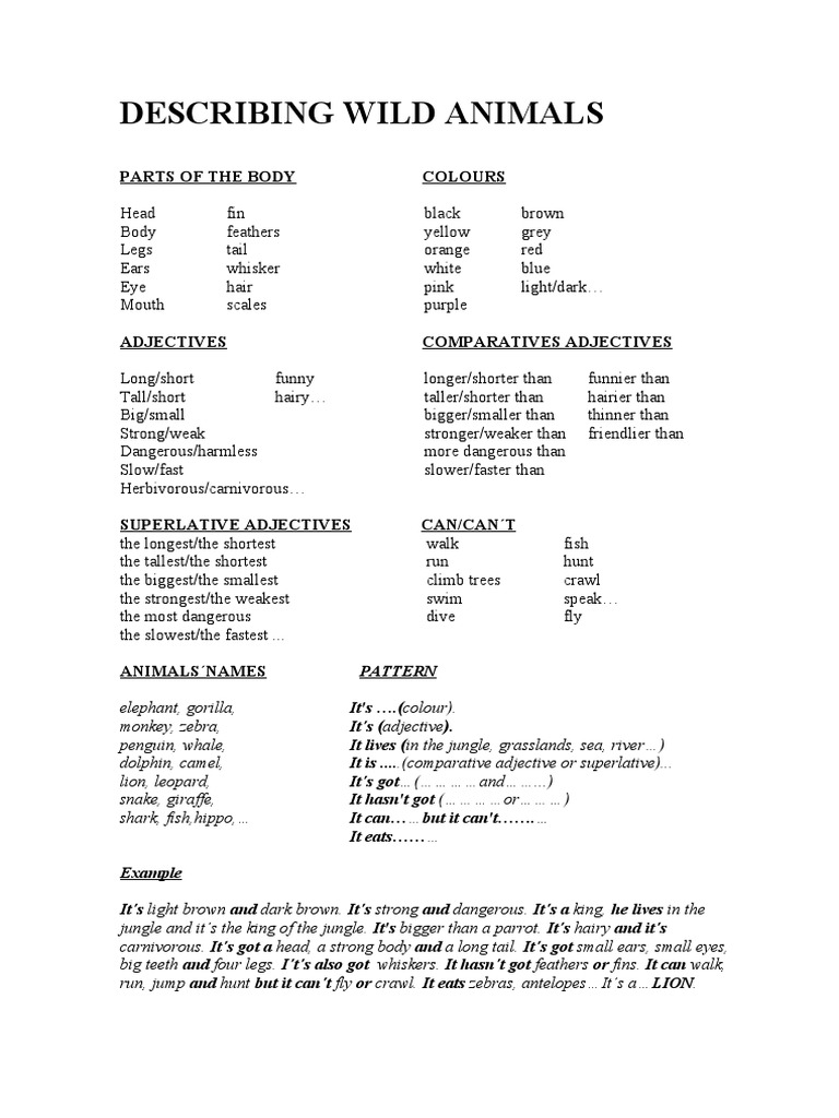 Adjectives for Describing Wild Animals | PDF | Hair | Zoology