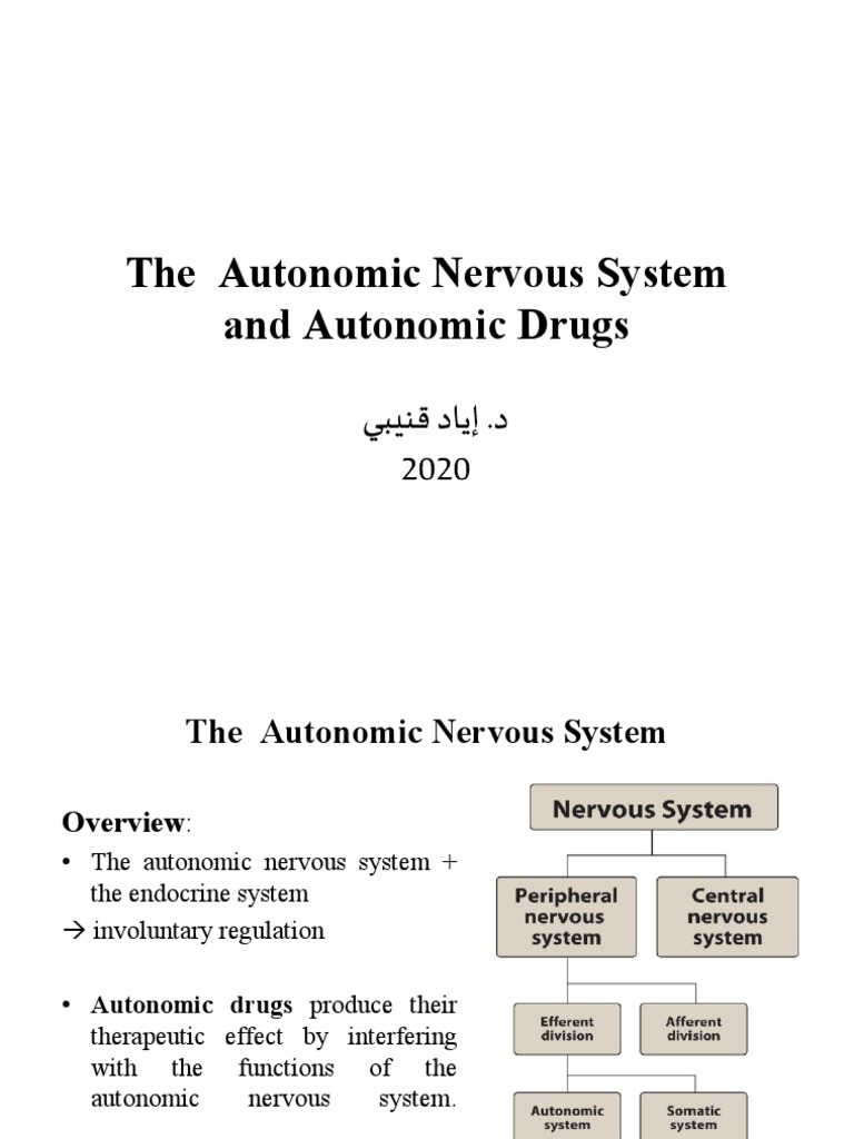 Autonomic Drugs 2020 Part 1 Intro | PDF | Autonomic Nervous System ...