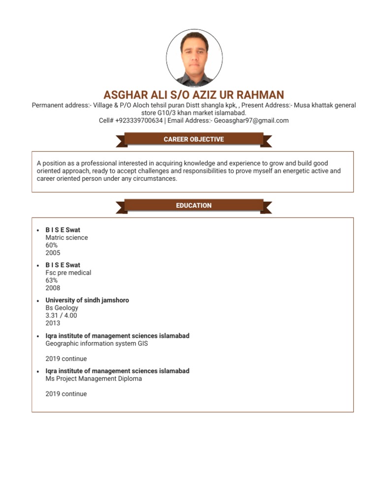 Asghar Ali Geologist Pakistan Cv. | PDF | Khyber Pakhtunkhwa | Geology