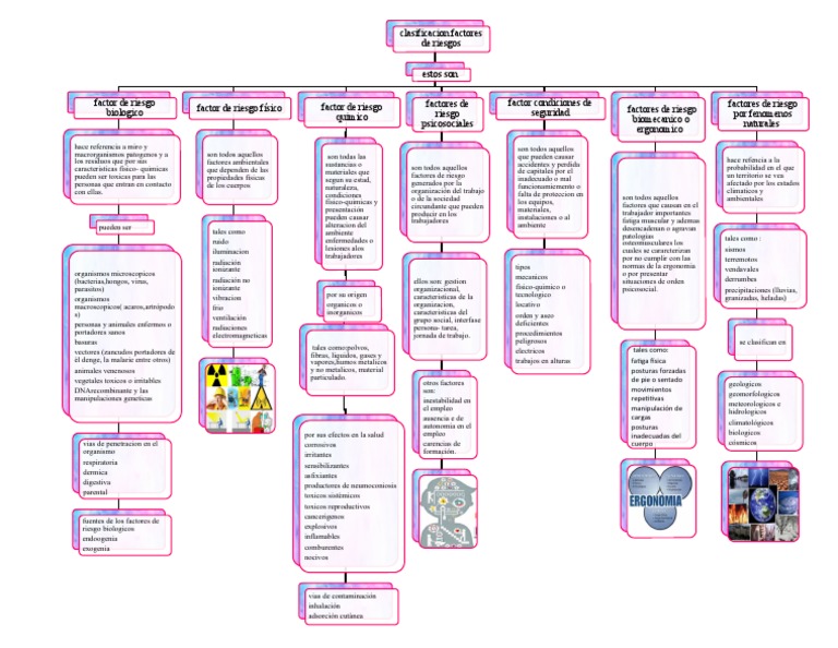 Mapa Conceptual - Clasificación Factores de Riesgo | PDF | Factor de riesgo | Toxicidad