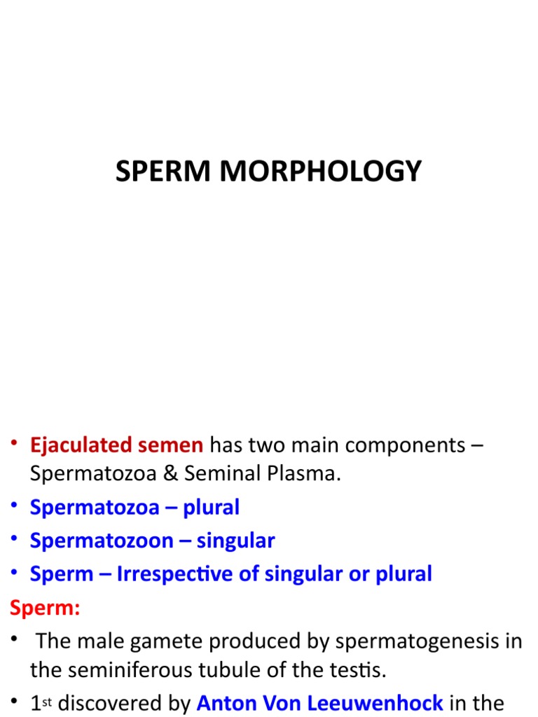 Sperm Morphology - 2019 Final | PDF | Sperm | Fertilisation