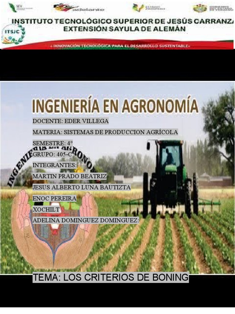 Criterios de Bonning | PDF