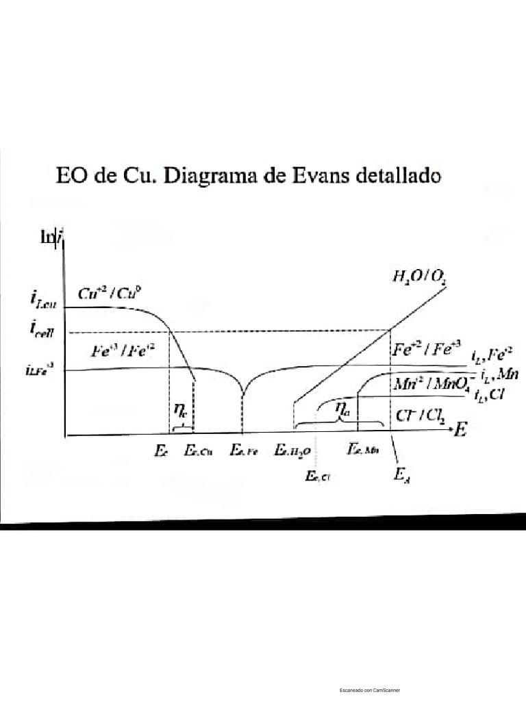 Diagrama de Evans Detallado | PDF