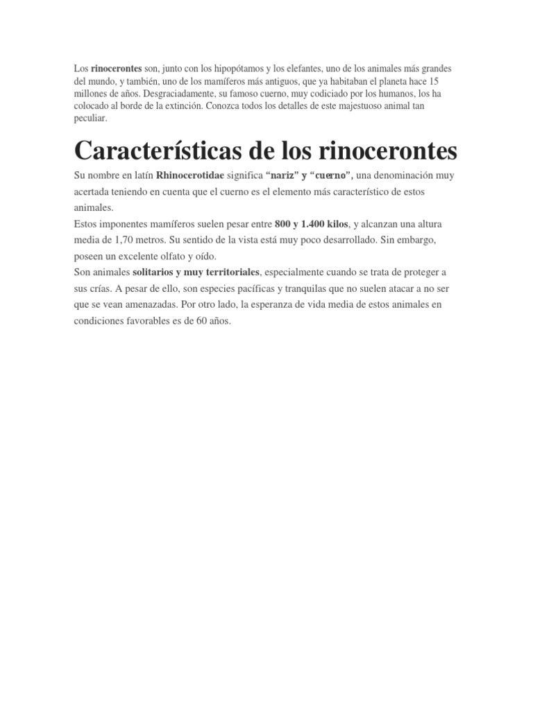 Rinocerontes | PDF | Rinoceronte | Ungulados de dedos extraños
