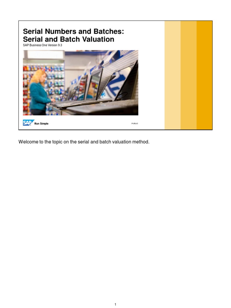 Serial Numbers and Batches: Serial and Batch Valuation | Download Free ...
