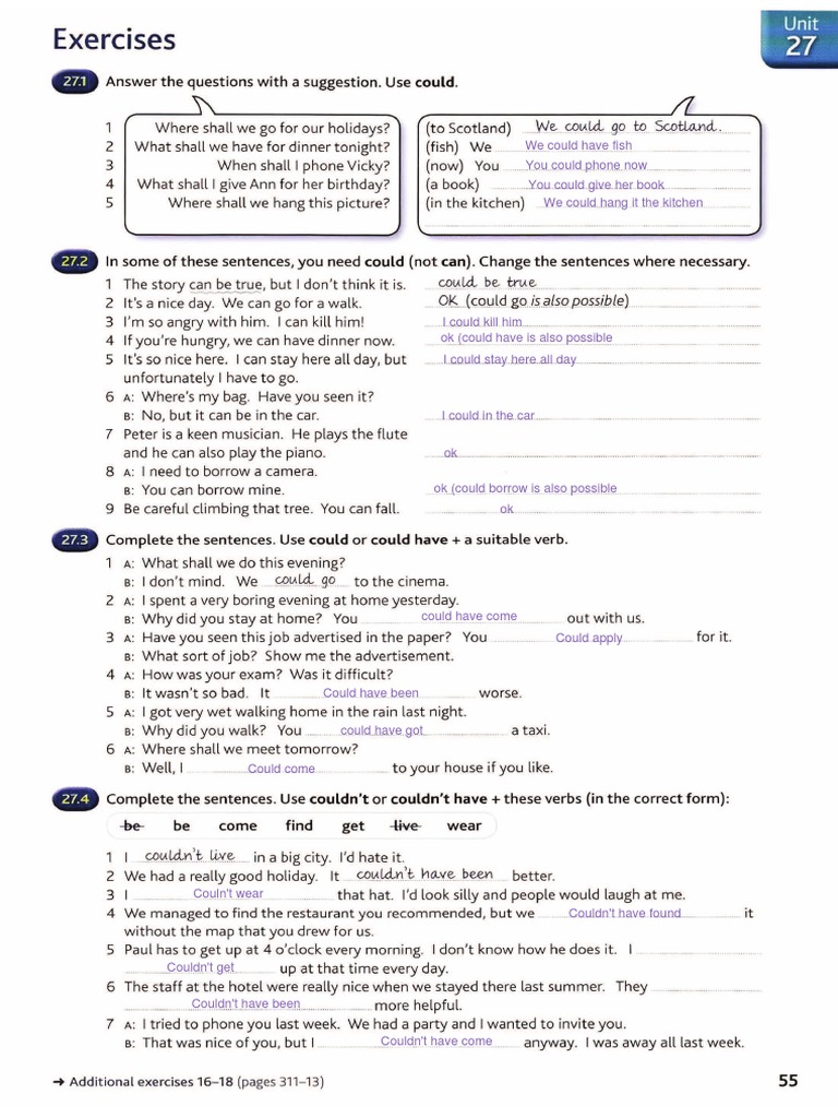 Could (Do) and Could Have (Done) Exercises | PDF