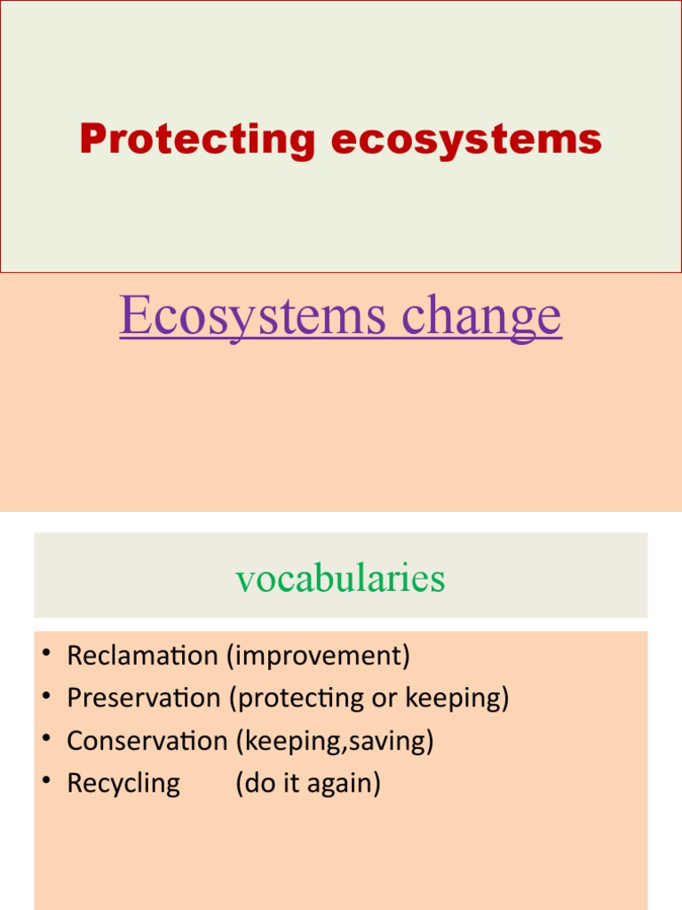 Protecting Ecosystems | PDF
