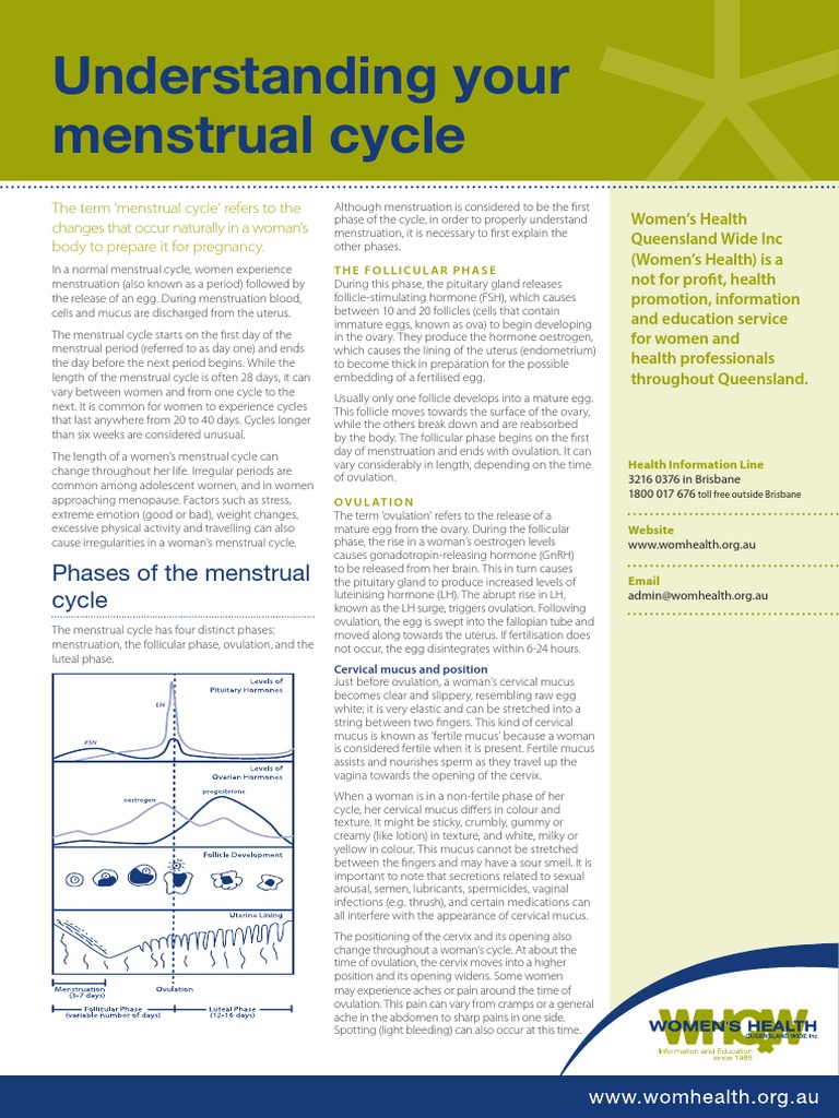 Understanding Your Menstrual Cycle | PDF | Menstrual Cycle | Menstruation