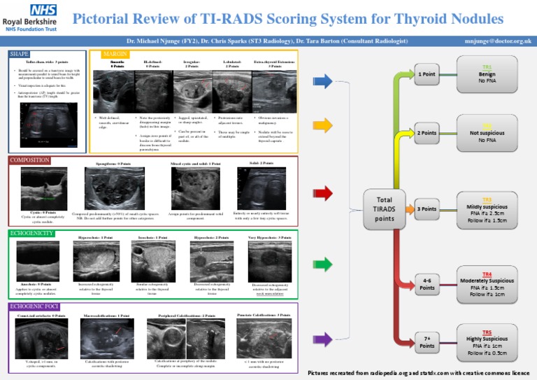Pictorial Review of Ti Rads Scoring System For Thyroid Nodules | PDF | Human Anatomy | Nature