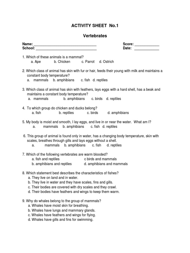Activity Sheet No.1 Vertebrates | PDF | Mammals | Amphibian