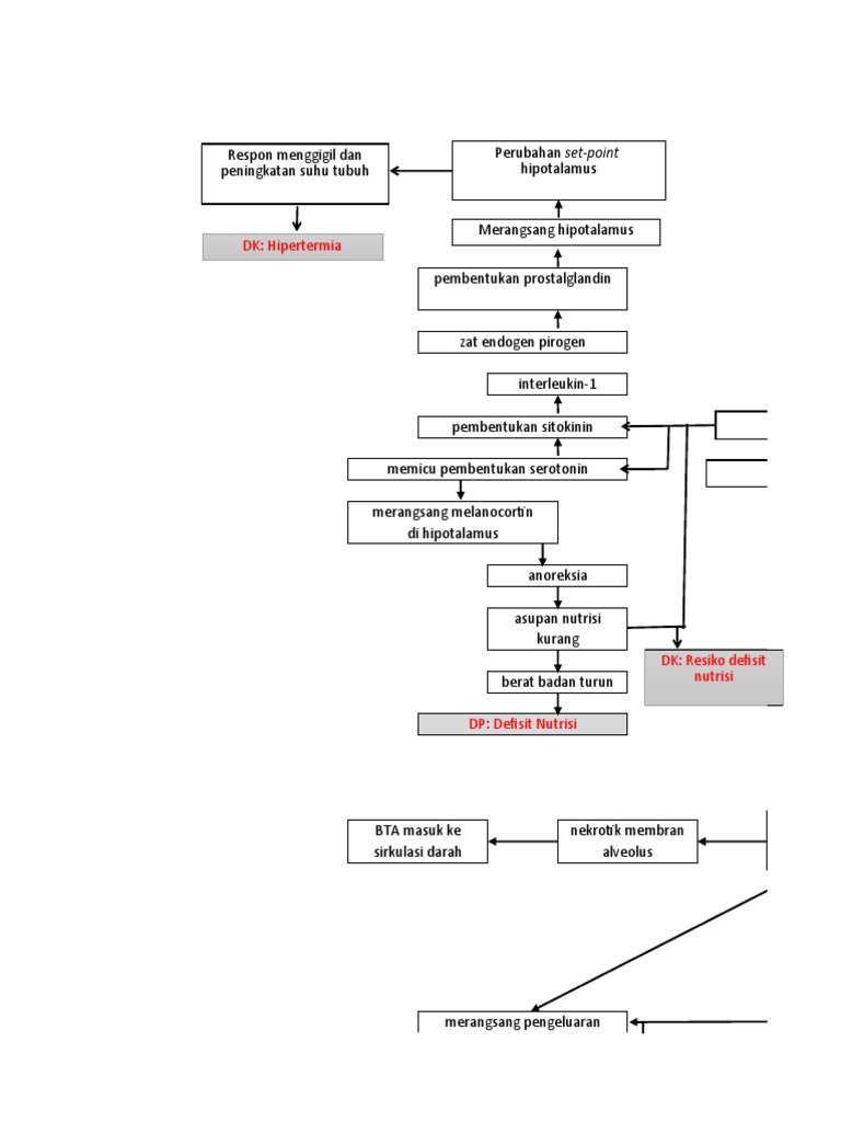 Pathway TUBERKULOSIS PARU (Maria Felixia) | PDF