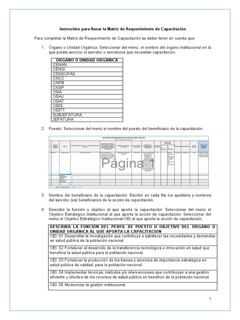 Instructivo para La Matriz de Requerimiento 2020 | PDF | Planificación | Business