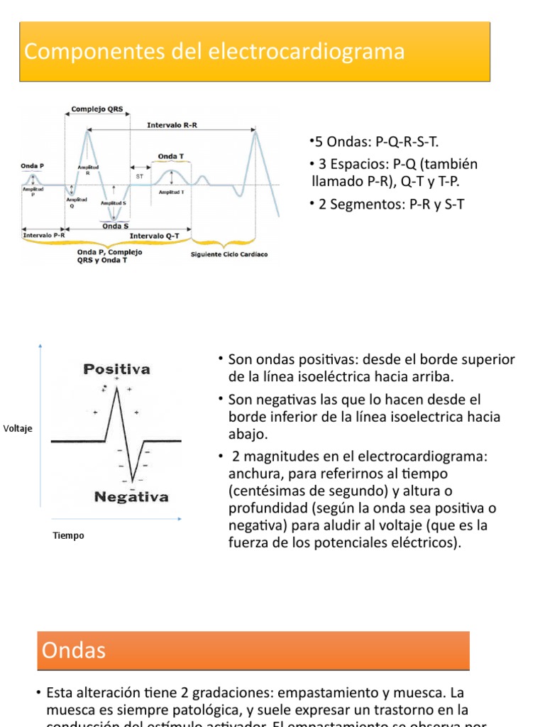 Componentes Del Electrocardiograma | PDF | Electrocardiografia | Tórax ...