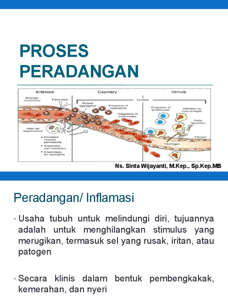 Proses Peradangan Patofisiologi | PDF