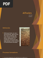ALFISOLES | PDF | Suelo | Materiales naturales
