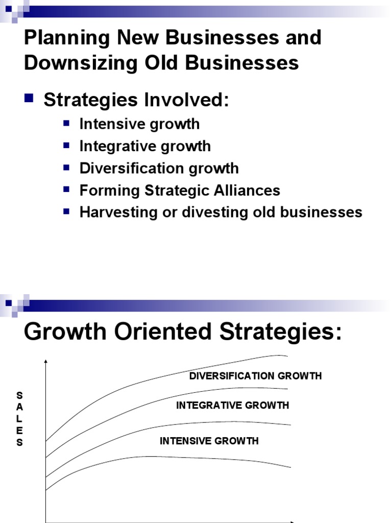Planning New Businesses and Downsizing Old Businesses: Strategies Involved | PDF | Marketing ...