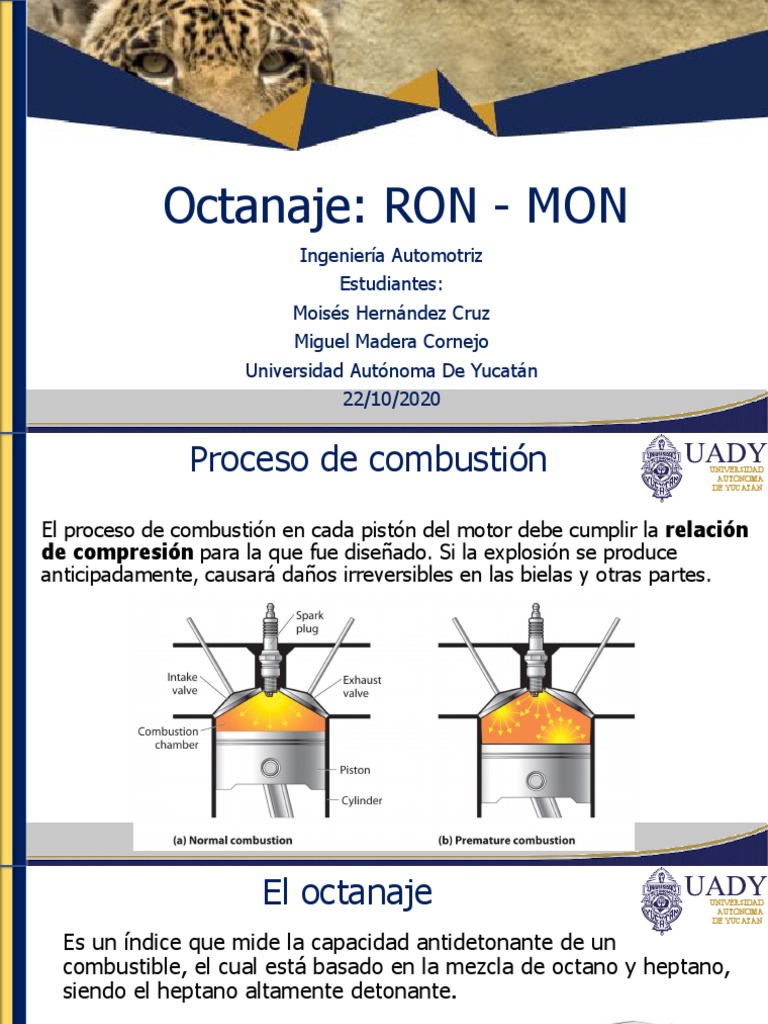 Ron Mon | PDF