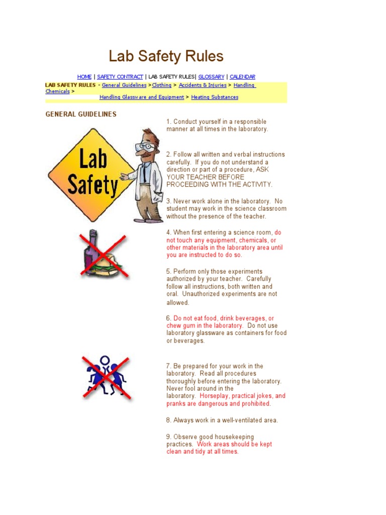 Lab Safety Rules | PDF | Laboratories | Personal Protective Equipment
