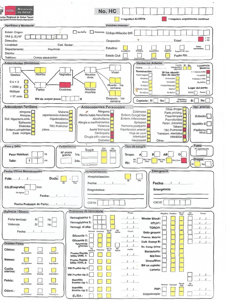 Historia Clínica Perinatal y Carnet Perinatal | PDF | Especialidades ...