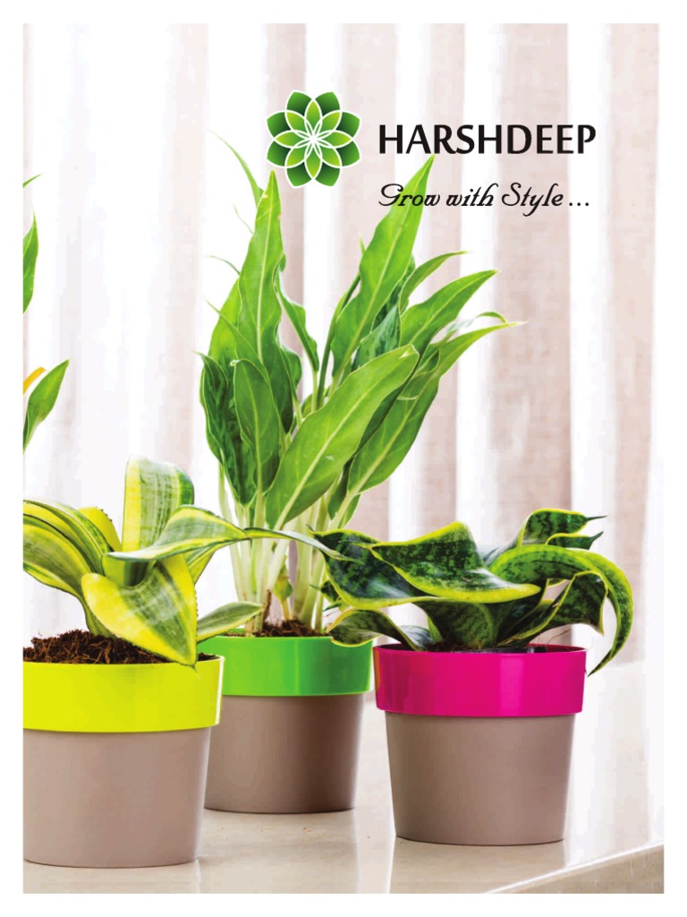 Harshdeep Pots | PDF | Art Materials | Color