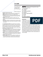 Terminology of Lower Limb Perforators | PDF | Vein | Foot