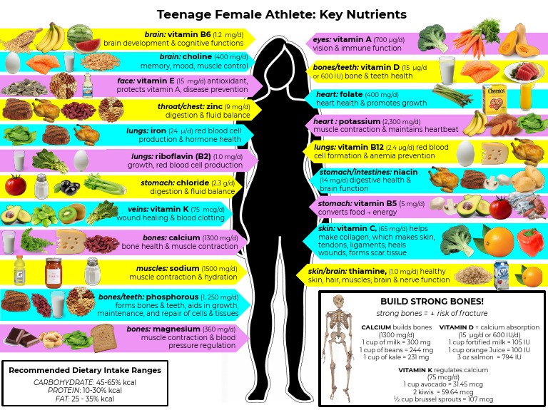 Woman Head To Toe | PDF | Vitamin | Bone