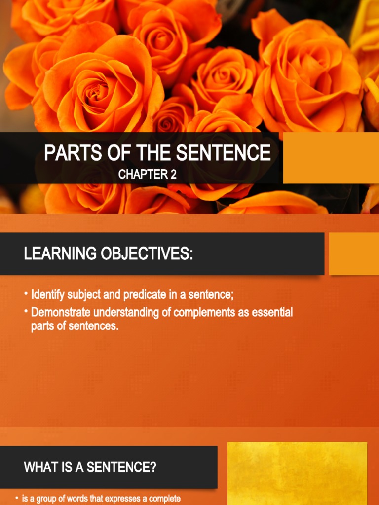 Understanding Sentence Structure Basics | PDF | Object (Grammar ...