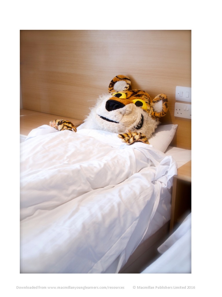 Tiger Time Daily Routine Photo Flashcards PDF | PDF