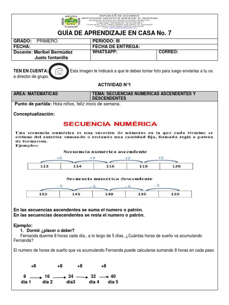 Modulo 7 Grado 1 | PDF