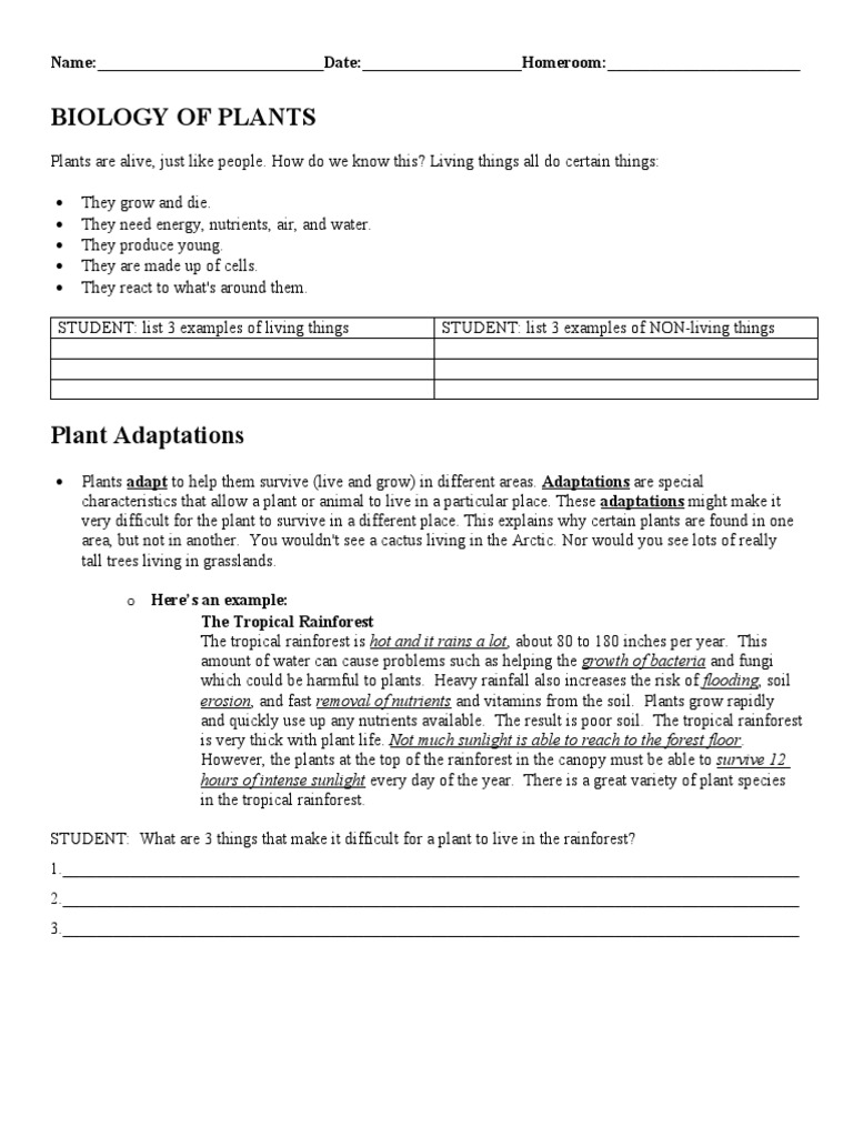 Plant Adaptations Worksheet | PDF | Pollination | Rainforest