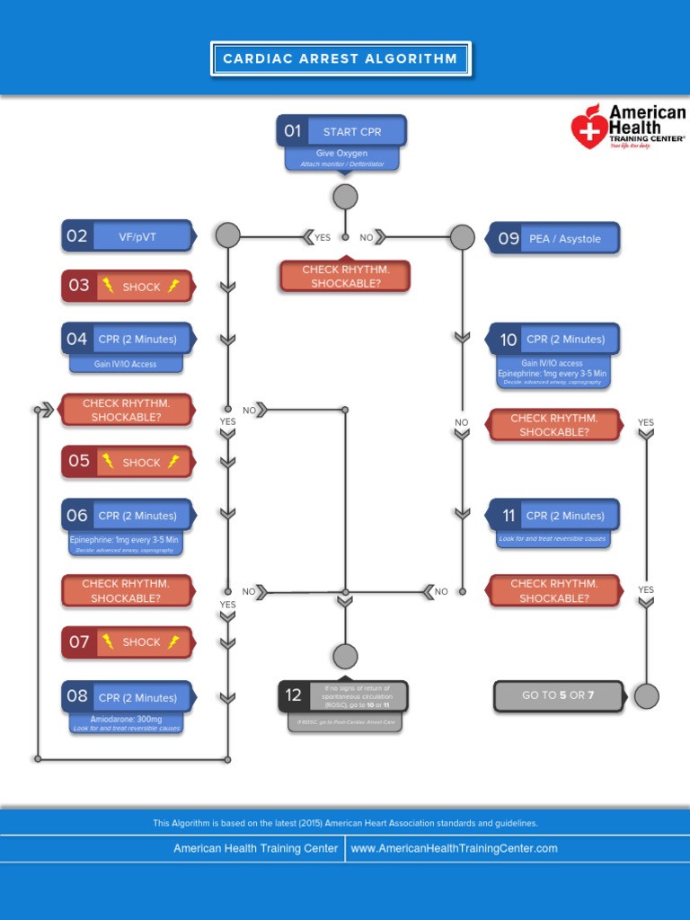 A Circular Algorithm for Cardiac Arrest Resuscitation: Outlining the ...