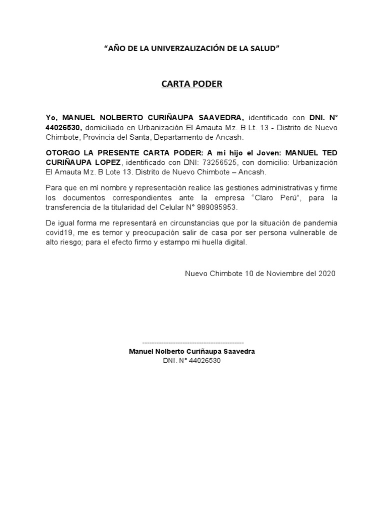 CARTA PODER - Modelo | PDF