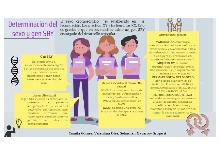 Desarrollo Sexual y Gen Sry | PDF