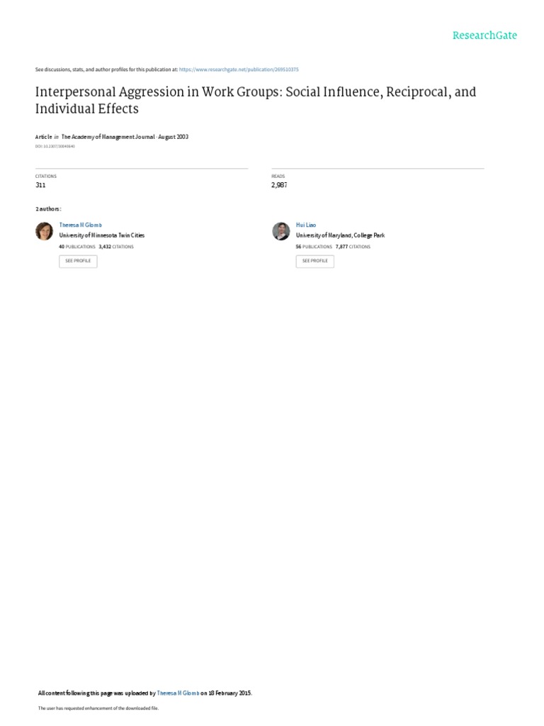 5 Interpersonal - Aggression - in - Work - Groups - Social | PDF ...