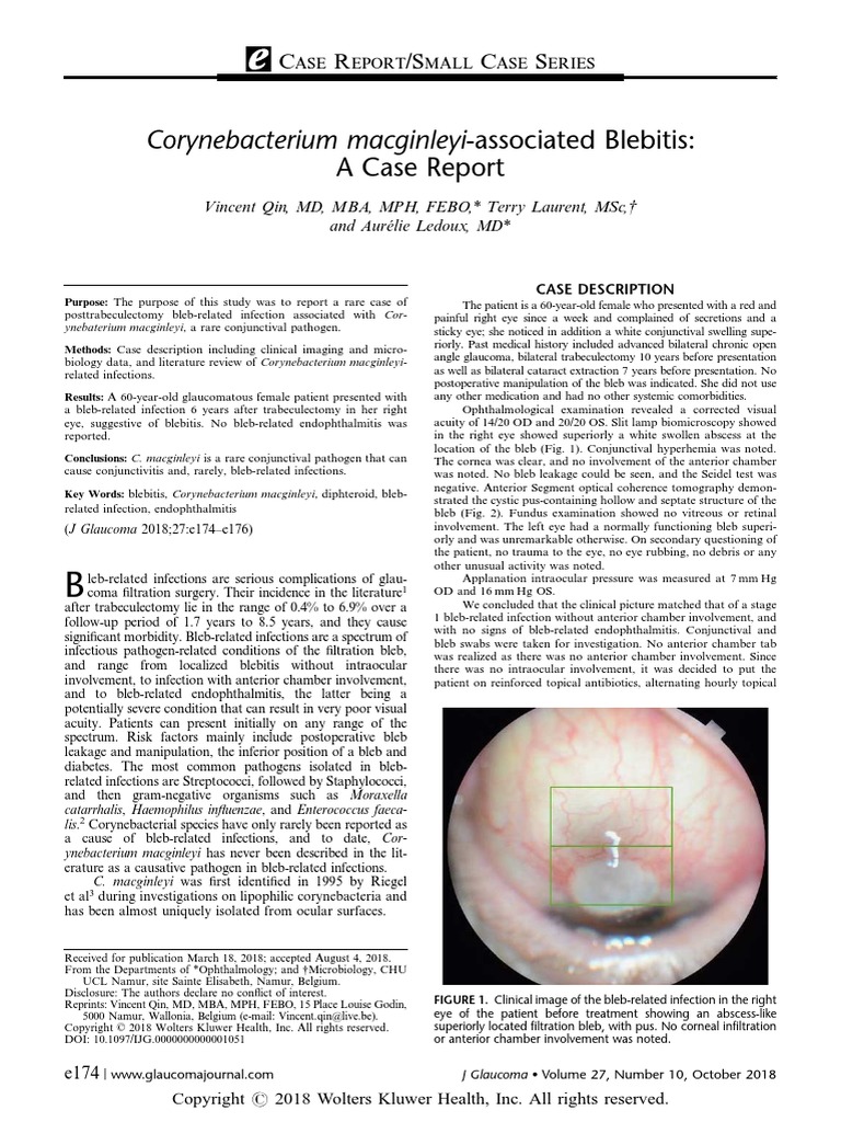 Corynebacterium Macginleyi-Associated Blebitis: A Case Report | PDF ...