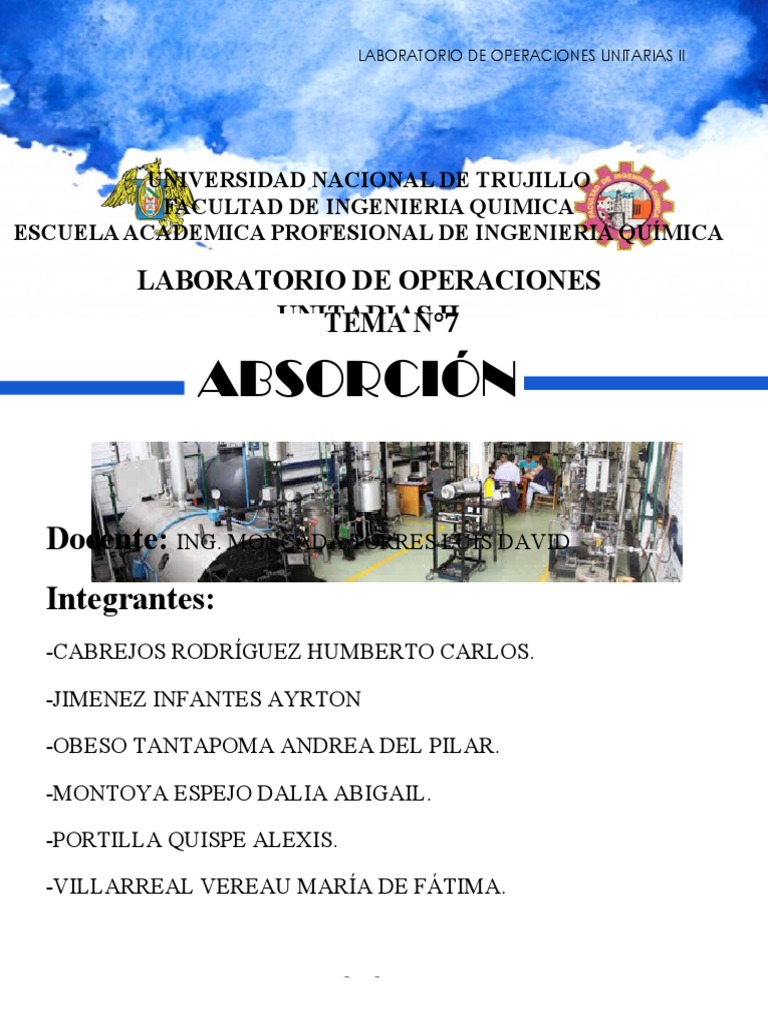 Laboratorio N°7-Absorcion-Lou Ii | PDF | Absorción (Química) | Solubilidad