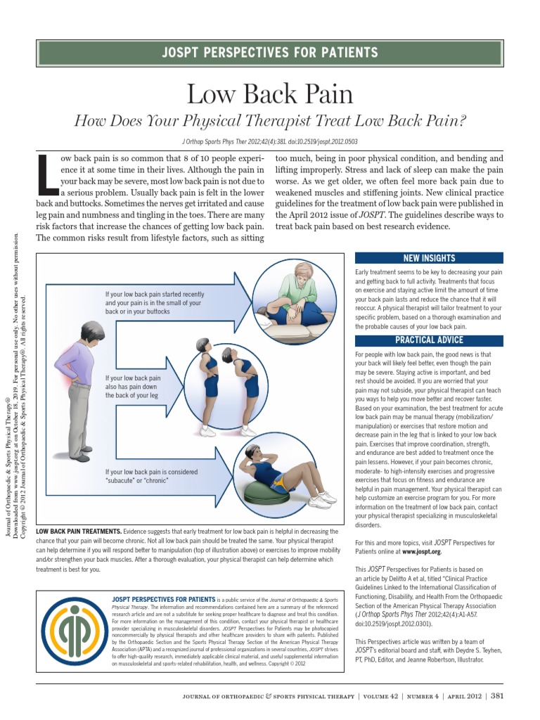 How Does Your Physical Therapist Treat Low Back Pain? | PDF | Physical ...