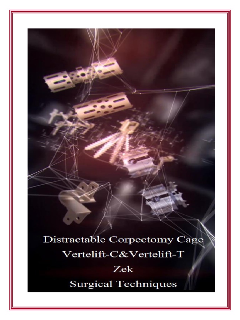 Barnhart Locking Plates in Vet Surgery | PDF | Vertebra | Vertebral Column