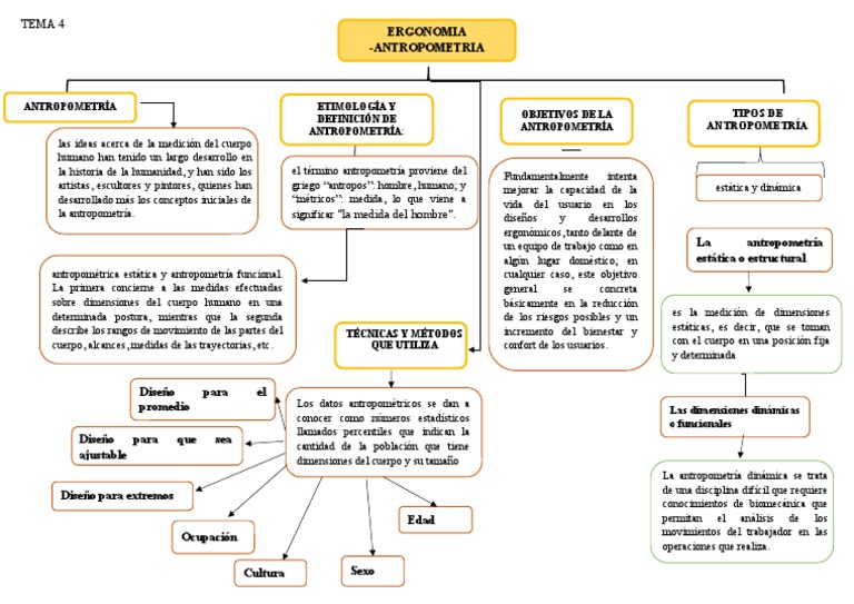 Mapa - Tema 4 | PDF | Antropometría | Factores humanos y ergonomía