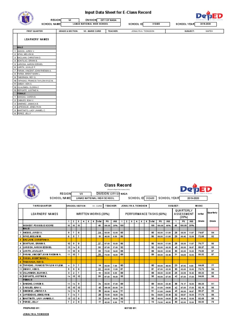 Input Data Sheet For E-Class Record: Region Division School Name School Id School Year | PDF ...
