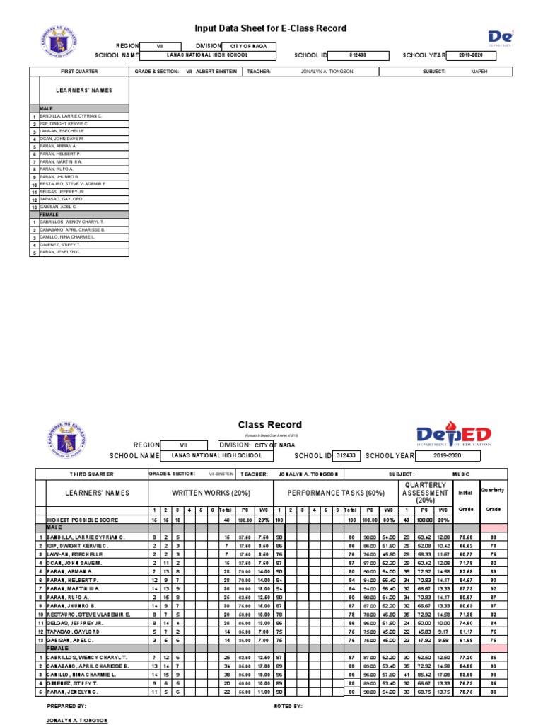 Input Data Sheet For E-Class Record: Region Division School Name School Id School Year | PDF ...