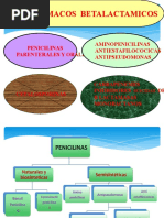 Bencilpenicilina Sódica Cristalina | PDF | Penicilina | Antibióticos
