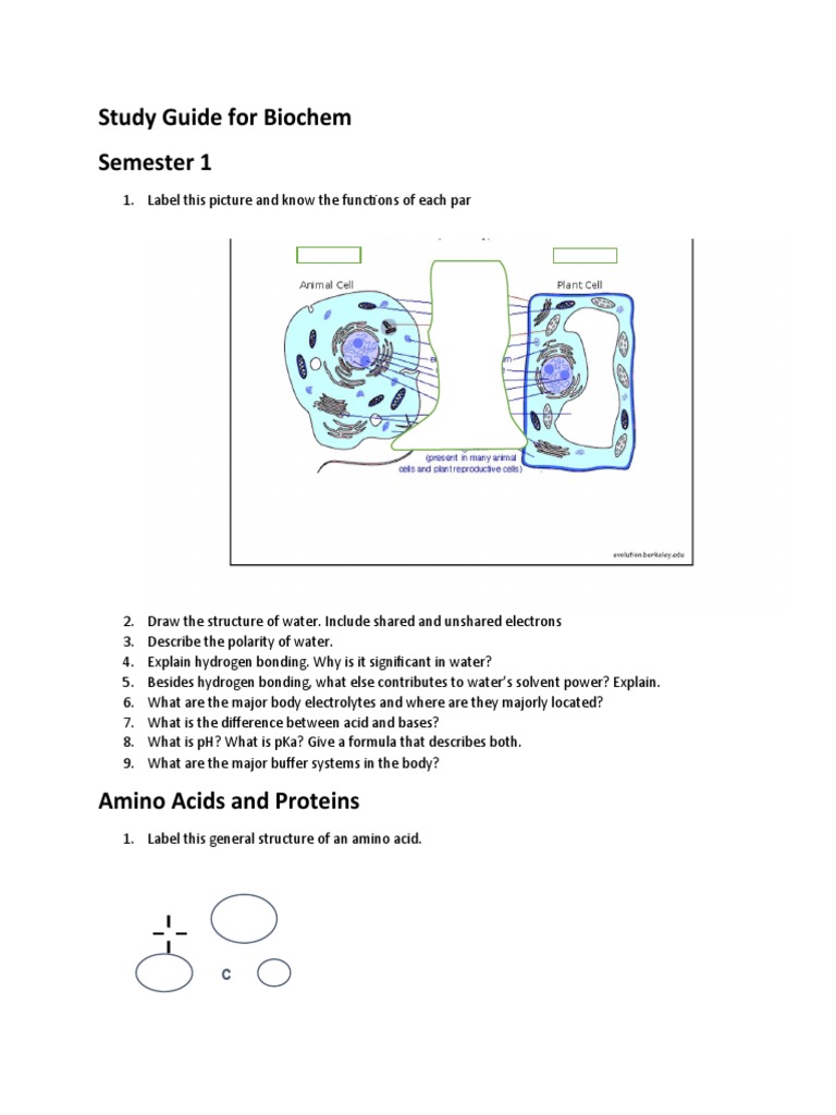 Biochemistry Study Guide: Key Concepts | PDF | Enzyme | Enzyme Inhibitor