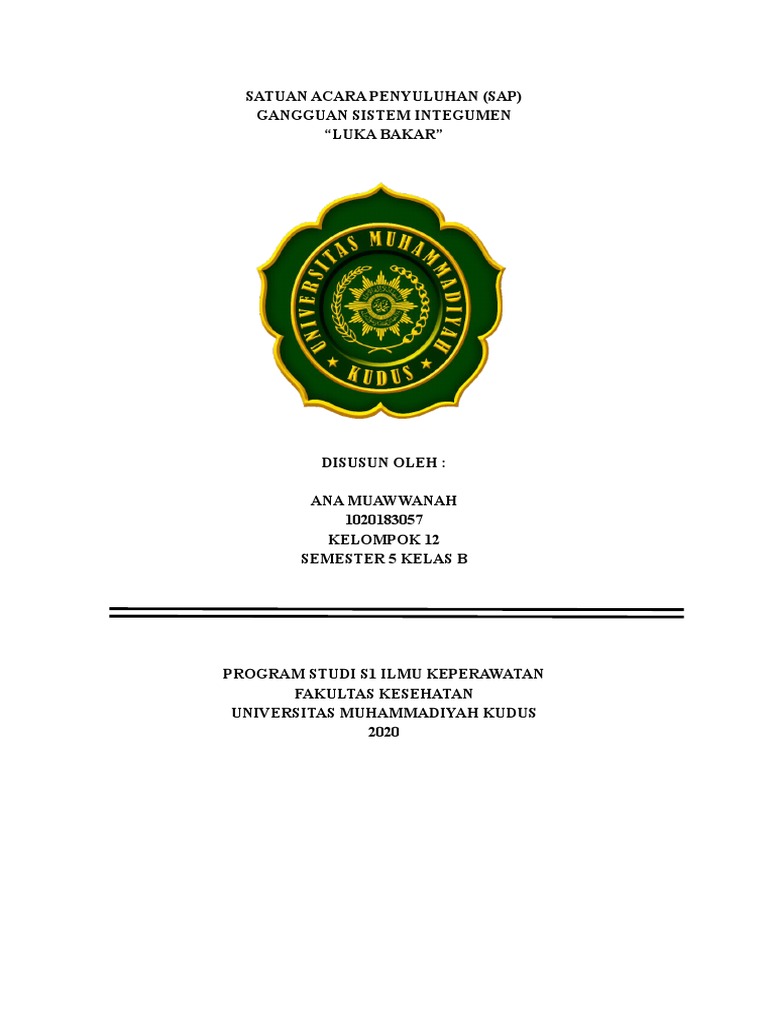 Sap Gangguan Sistem Integumen - SMT 5 S1 Kep - Lab KMB Ii | PDF