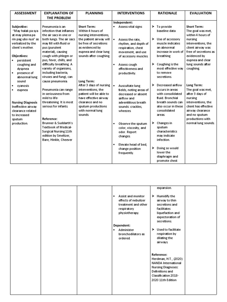 Nursing Care Plan (Pedia) | PDF | Respiratory Tract | Breastfeeding
